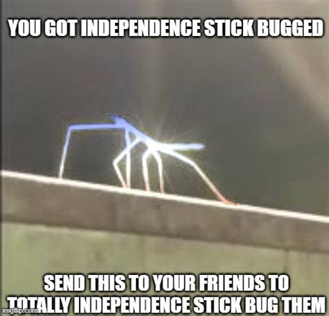 INDEPENDENCE STICK BUG Imgflip