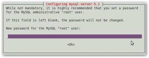 Ubuntu 11 04 Drupal 7 Apache PHP MySql Benjr Tw