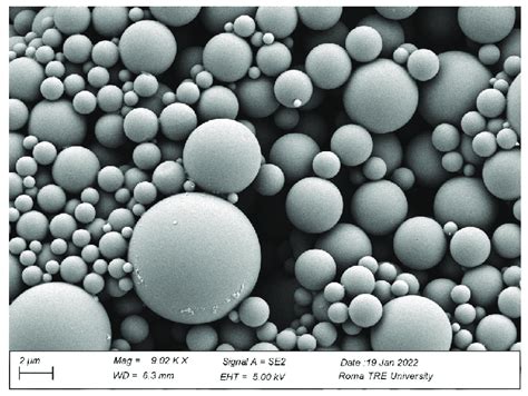 Scanning Electron Microscope Sem Image Of Stock Suspension Of Mp Download Scientific Diagram