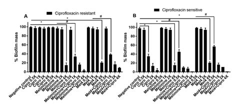 Disruption Of Pre Established Biofilm Of P Aeruginosa ATCC 27853