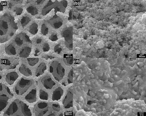 SEM Micrograph Of A Fe Cr Al Coated Preform B Surface Of The