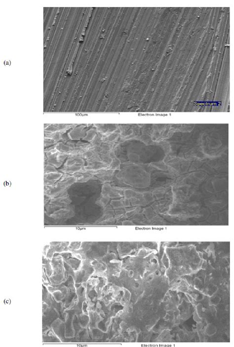 Sem Micrographs Of A Austenitic Stainless Steel B Austenitic