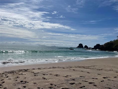 Dont Let The Lessons Pass Us By And Dont Lose The Learnings Tania Burt