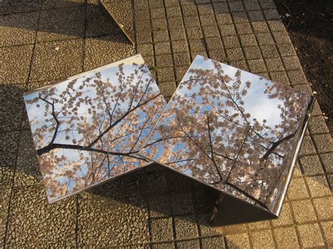 十和田市 官庁街 ソックスパパのブログ
