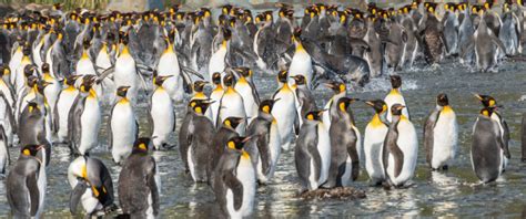 5 Ways To Use The New Hypothesis Canvas Groups Integration Hypothesis