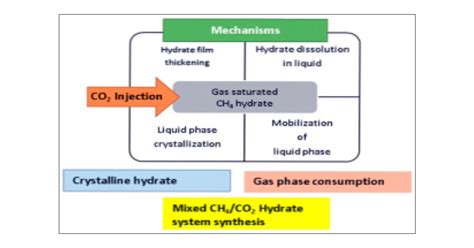 Novel Pore Scale Visualization During Co2 Injection Into Ch4 Hydrate