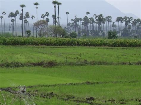 Tamilnadu Tourism Gobichettipalayam
