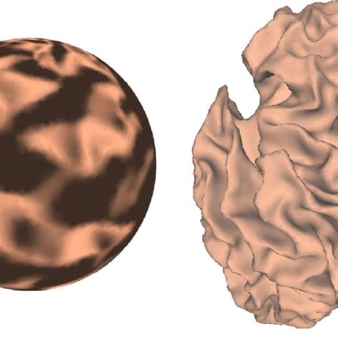 Ricci Flow Parameterization Result Of Left Cortical Surface Download