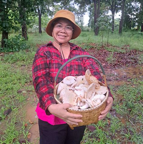 สะออนคัก เห็ดตะไค อาหารพื้นบ้าน อาหารตามฤดูกาล ของแซบอีสาน Facebookสร้างรายได้ ไร่พงษ์ศิริ
