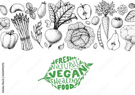 Vegan Food Frame Hand Drawn Vector Illustration Menu Design Template