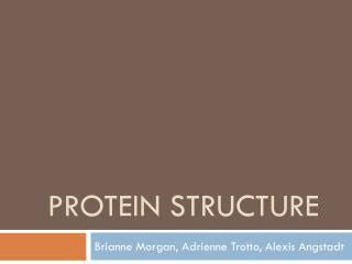 PPT Protein Structure PowerPoint Presentation Free Download ID
