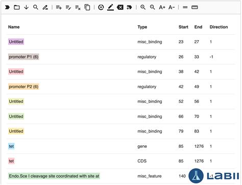 Plasmid Editor Documentation
