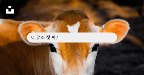 젖소 젖 짜기 사진 Unsplash에서 무료 이미지 다운로드