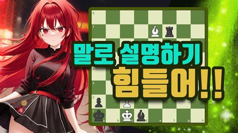 설명하다가 이해시키기 빡쳐서 만든 영상 체스퍼즐 Youtube
