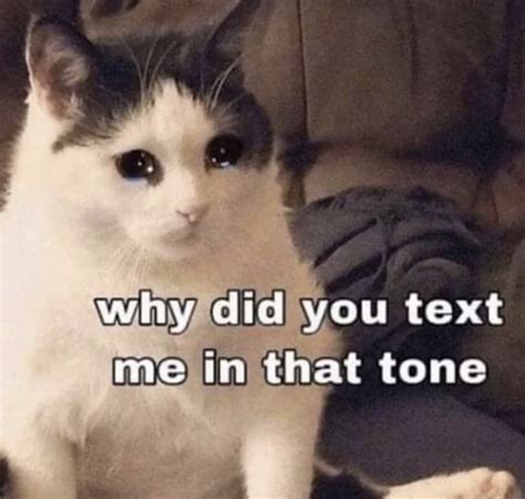 25 Reaction Memes
