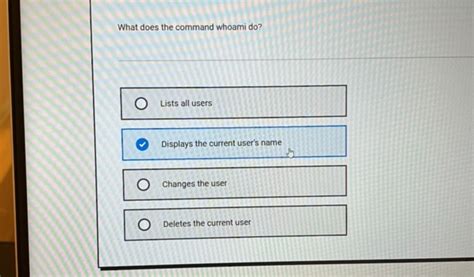 What Does The Command Whoami Do Lists All StudyX