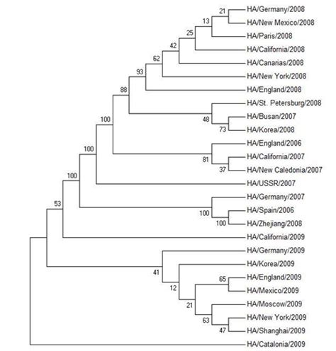 bootstrap consensus tree for na download scientific diagram