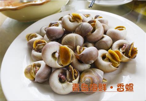 来青岛，吃什么 知乎