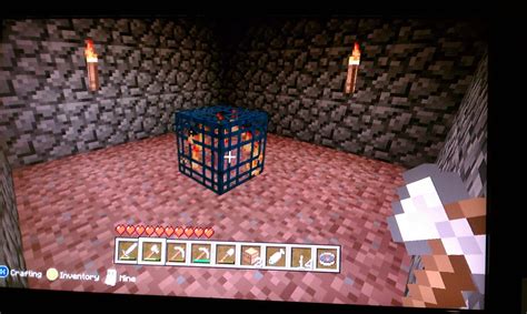 360 A Wild Pig Spawner Appeared Rminecraft