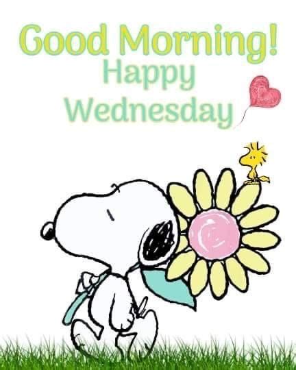 Good Morning Wednesday Funny