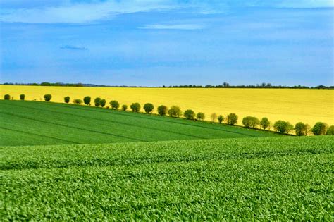Classification Of Crop Fields Through Satellite Image Time Series Dida Blog