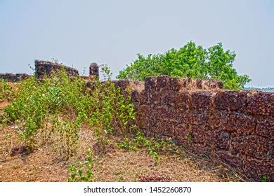 516 Chapora Fort Stock Photos Images Photography Shutterstock