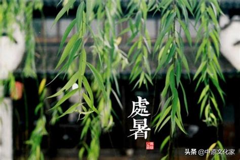 為何民間有「處暑禾田連夜變」之說？處暑還是一個收穫的時節 每日頭條