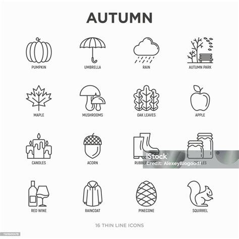 단풍 나무 버섯 오크 잎 사과 호박 우산 비 양초 도토리 고무 부츠 비옷 소나무 다람쥐 가을 얇은 라인 아이콘 세트 현대 벡터