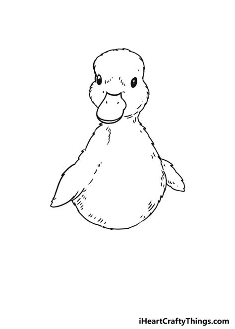 How To Draw A Cute Duckling Step By Step
