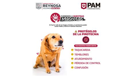 Protección Animal Administración Municipal Reynosa 2021 2024