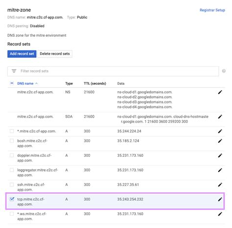 Using Tcp Routes Cf Networking Onboarding