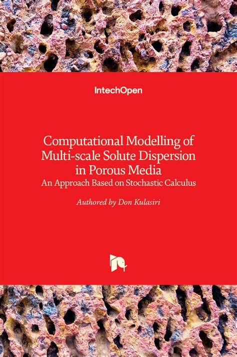 Computational Modelling Of Multi Scale Solute Dispersion In Porous