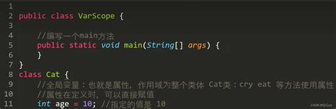 变量作用域 Csdn博客
