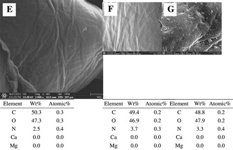 Sem Edx Micrograph At 2000x Magnification After Pretreatment Step A Download Scientific