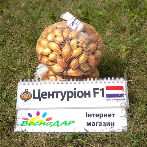 Лук севок Центурион F1 купить в Украине | Веснодар