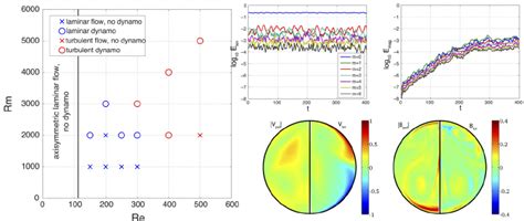 Numerical Solutions For Turbulence Driven Small Scale Dynamo And