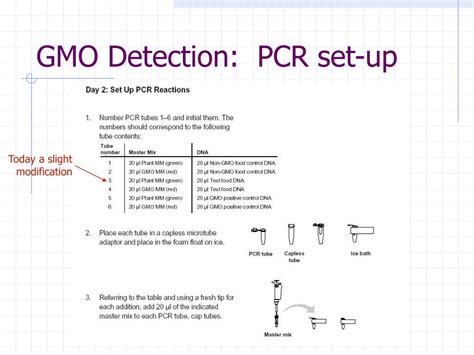 PPT Todays PCR GMO Detection PowerPoint Presentation Free Download ID