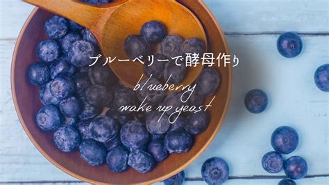 天然酵母 作り方 ブルーベリー酵母 初夏に作りたい