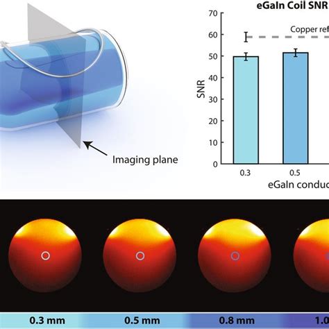 Wearable Coil Array Used For In Vivo Imaging Of The Knee A Receive Download Scientific