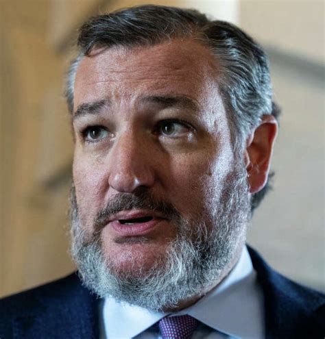 Mystery Solvent On Twitter Remember When Ted Cruz Said Schools Should