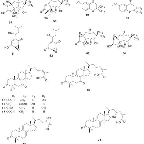 Pdf Fungal Metabolites And Antimalarial Drug Discovery A Review