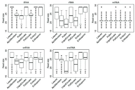 Size Distribution Of Reads Mapping To Different Ncrnas In Different Download Scientific Diagram