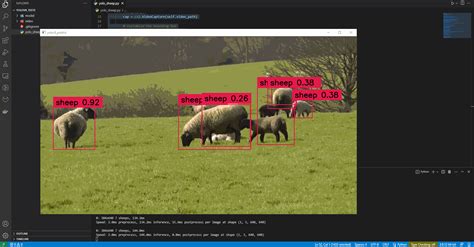 Detect Sheeps With YOLOv8 By Felipe Meganha