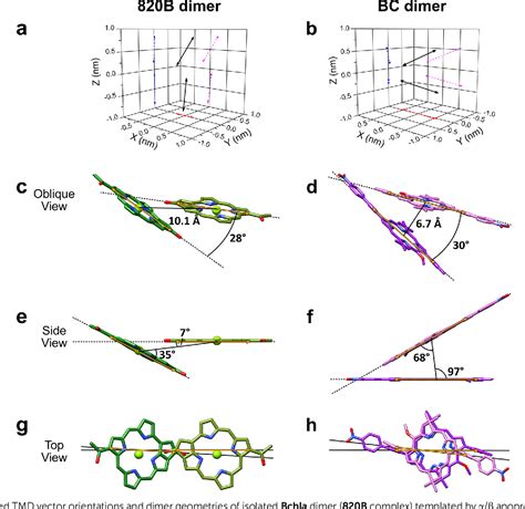 Figure 2 From Exciton Delocalization In A Fully Synthetic Dna Templated Bacteriochlorin Dimer