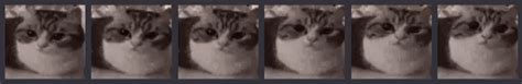 Exploding Cats They Were Made To Go Kaboom And Only Kaboom Defense 6