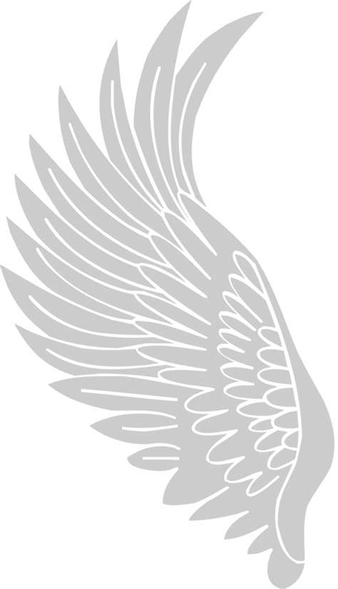 Angels Wing 36635307 Vector Art At Vecteezy
