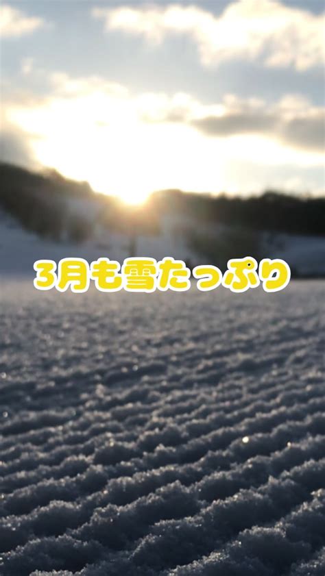 ひるがの高原スキー場ひるがのピクニックガーデン／岐阜 この時期にここまで雪があるのはレアです ️ 明日3月24日（月）から第1クワッド