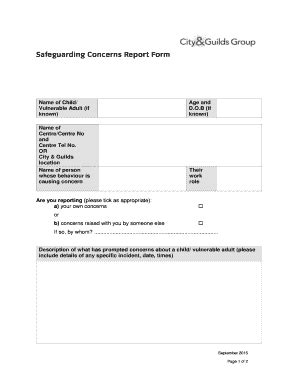 Fillable Online Safeguarding Concerns Report Form City And Guilds Fax