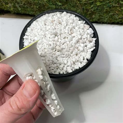 Using Perlite In Hydroponics A Complete Growing Guide