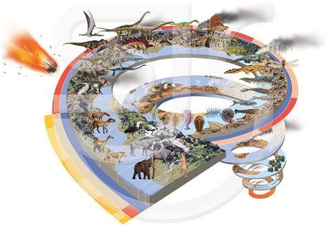 Prehistoric Timeline Prehistoric Timeline Dinosaur Ti